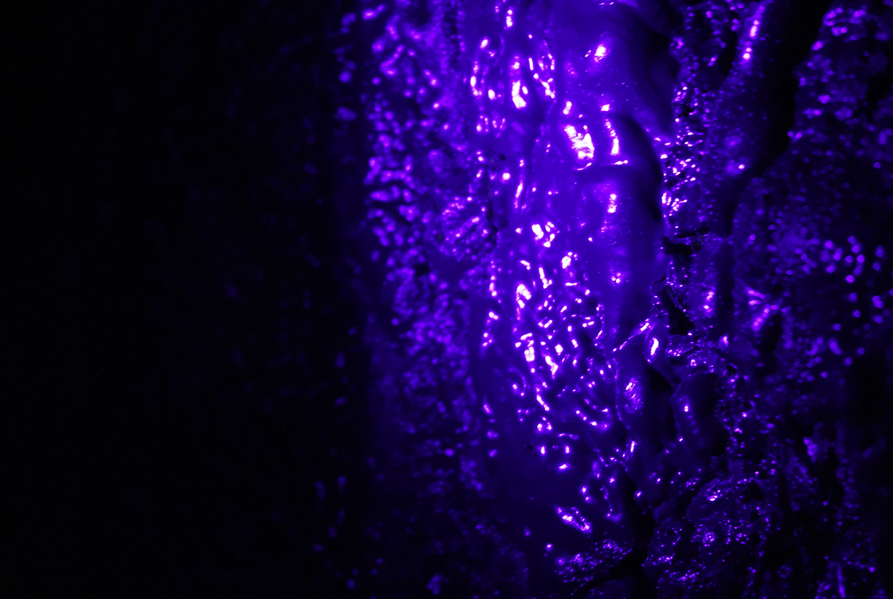 PANDORA Escape Room – Escapépolis